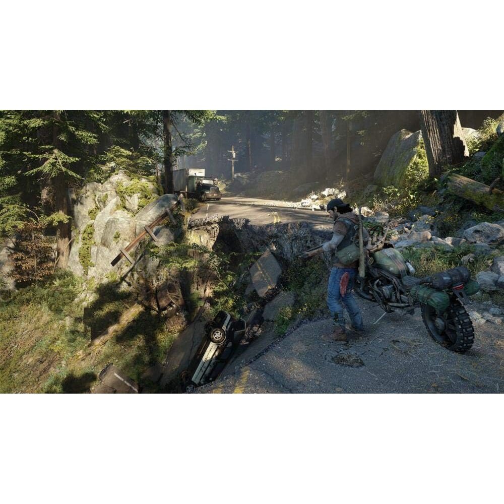 Days gone for ps4 store